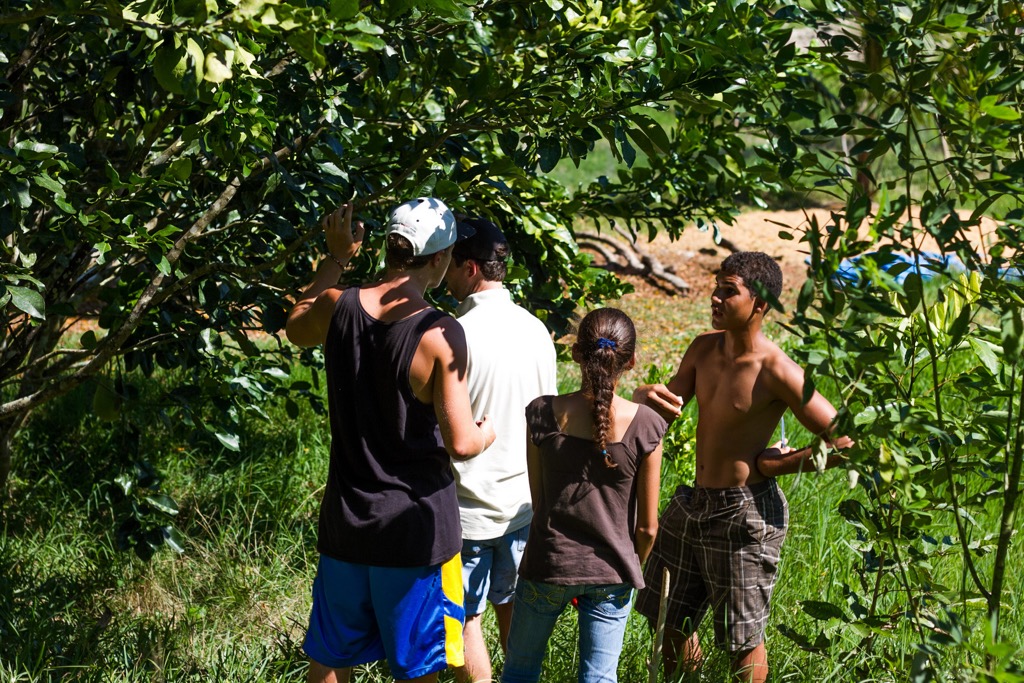 Our Story – Regenerative Developments – Habitats For Thriving